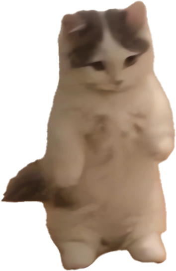 MEMEBUS on Solana - Buckle Up, Next Stop, Moon